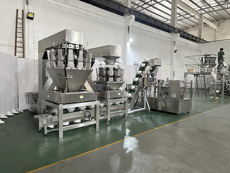Certified Date Palm Packaging Machine - Automatic Packing And Sealing ...