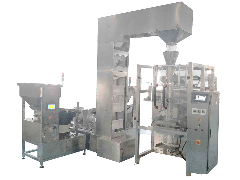 Biscuit Wrap Packaging Machine, Horizontal Flow Wrap Machine ...